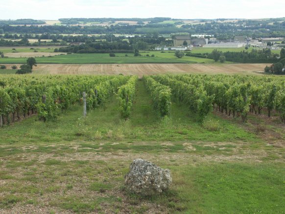 Vins Jasnieres Wines Sarthe